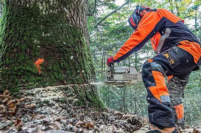 Chainsaw Supplies Ireland – Douglas Forest & Garden