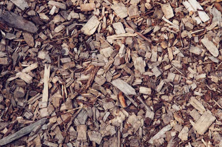 Stihl Garden Shredder – Douglas Forest & Garden