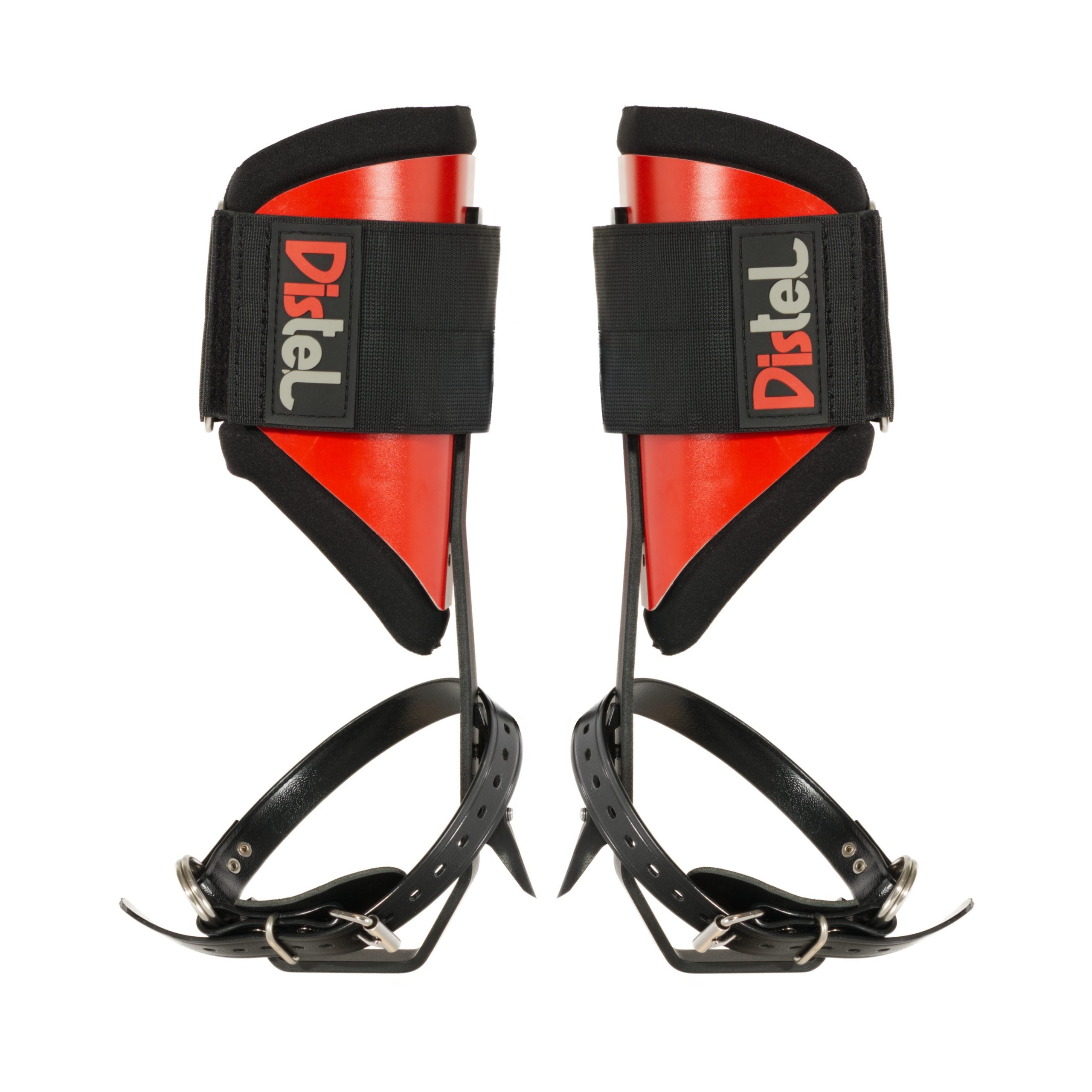 Distel Steel Leather Tree Climbing Spikes – Douglas Forest & Garden